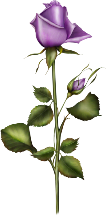 Download Tubes Fleurs - Flower PNG Image with No Background - PNGkey.com