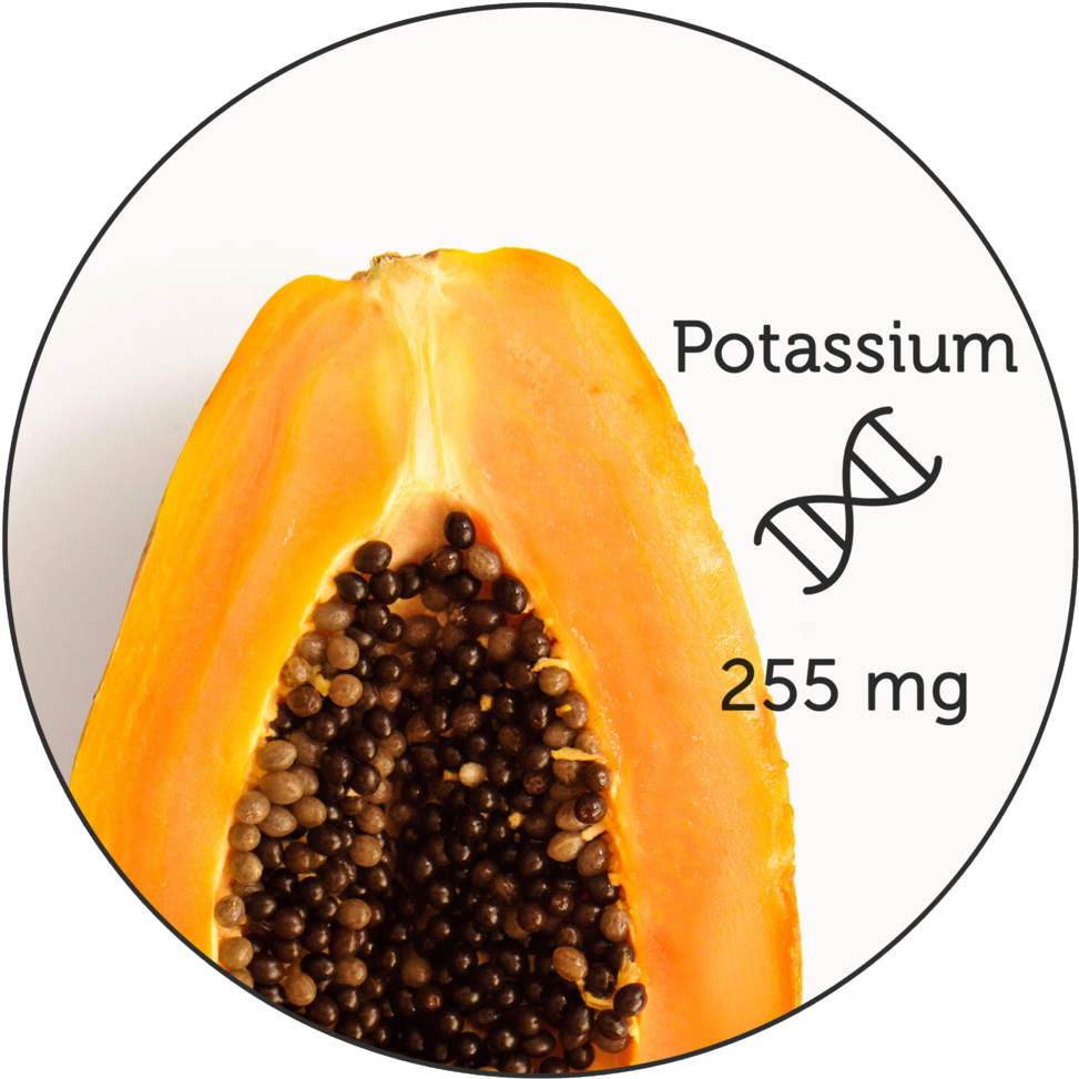 Nutritional Science Icon - Food - Free Transparent PNG Download - PNGkey