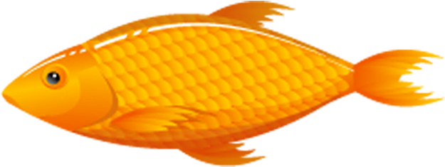 Download Peixe Em Png - Fish PNG Image with No Background - PNGkey.com