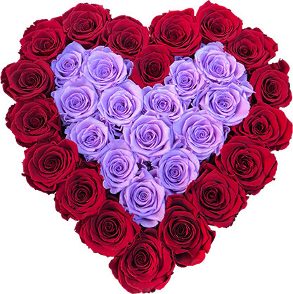 Download Real Long Lasting Roses - The Royal Roses PNG Image with No ...