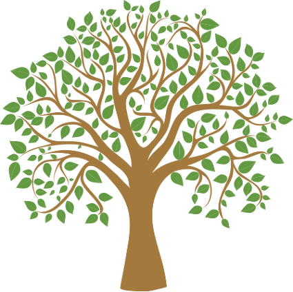 Tree Graphic Png - Sociology: The Basics [book] - Free Transparent PNG ...