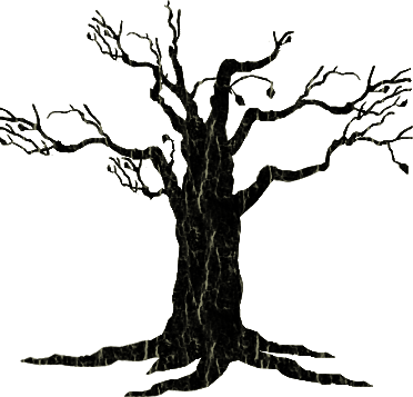 Tree-058 - Old Tree Clipart Transparent - Free Transparent PNG Download ...