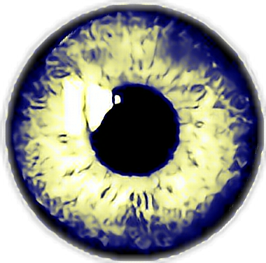 Ftestickers Eyes Horror Creepy Crossprocess - Circle - Free Transparent ...