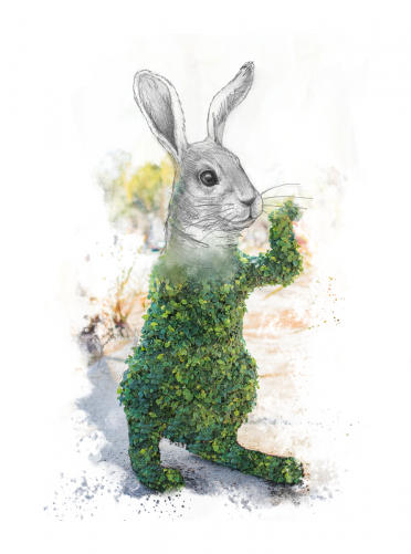 Download Standing Bunny Topiary - Domestic Rabbit PNG Image with No ...