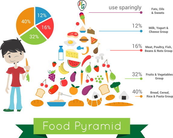 The Food Pyramid, Developed By The Us Department Of - Industry ...