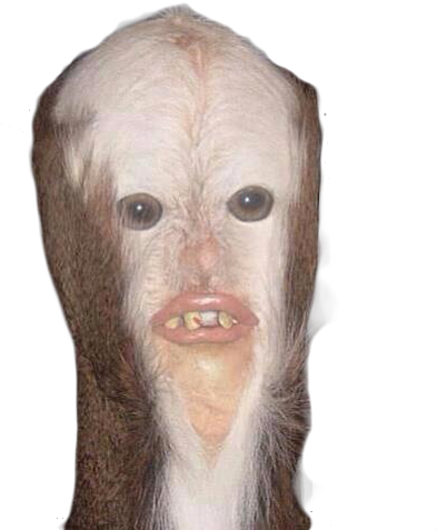 Swamp Booger Png - Free Transparent PNG Download - PNGkey