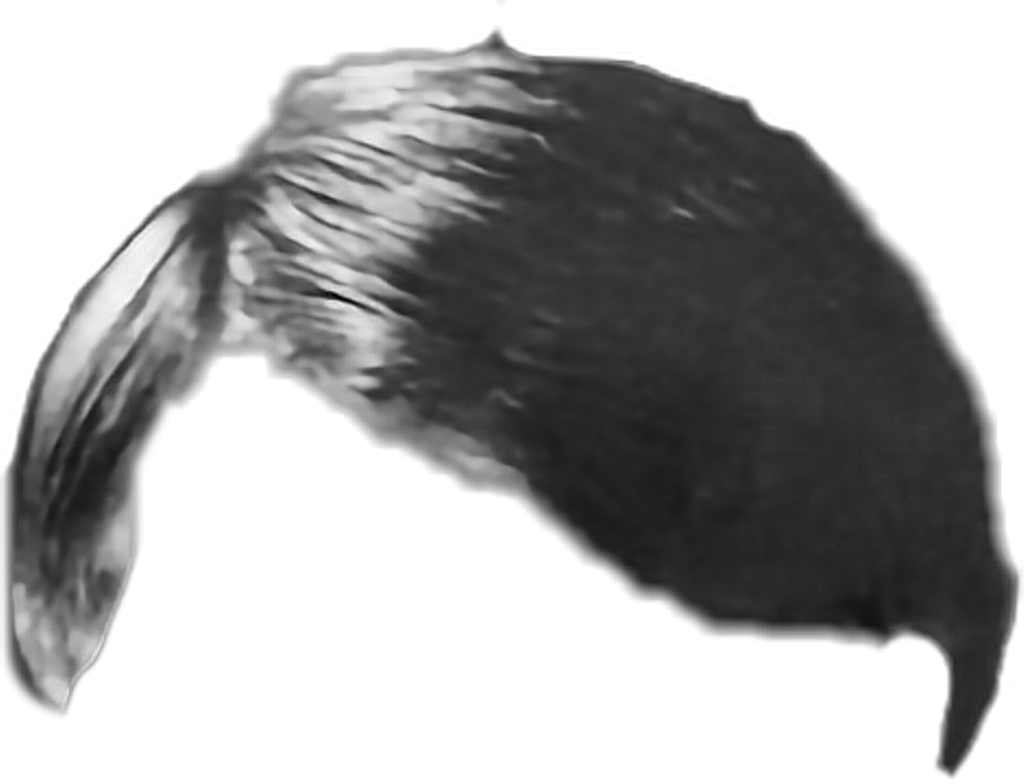 Hitler Hair Png - Hitler Hair Transparent Background - Free Transparent ...