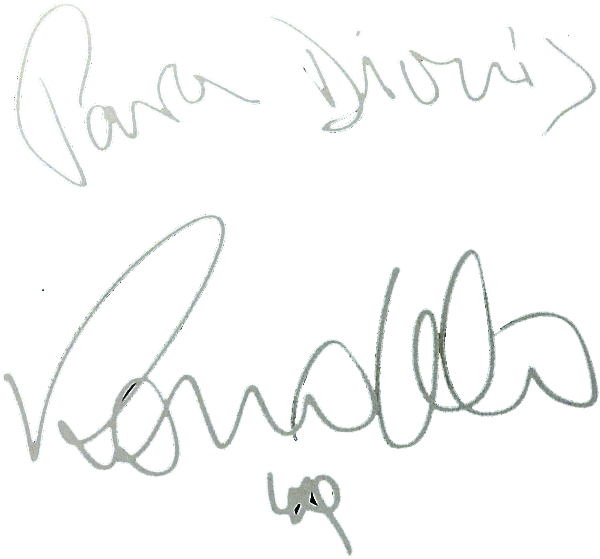 Download Dioni's Bar - Handwriting PNG Image with No Background ...