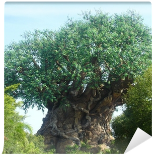 Download Disney World, The Tree Of Life PNG Image with No Background ...