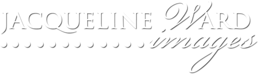 Jwi Logo Transparent Thinwatermark - Logo - Free Transparent PNG ...