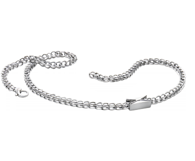 Risque Platinum Chain - Necklace - Free Transparent PNG Download - PNGkey