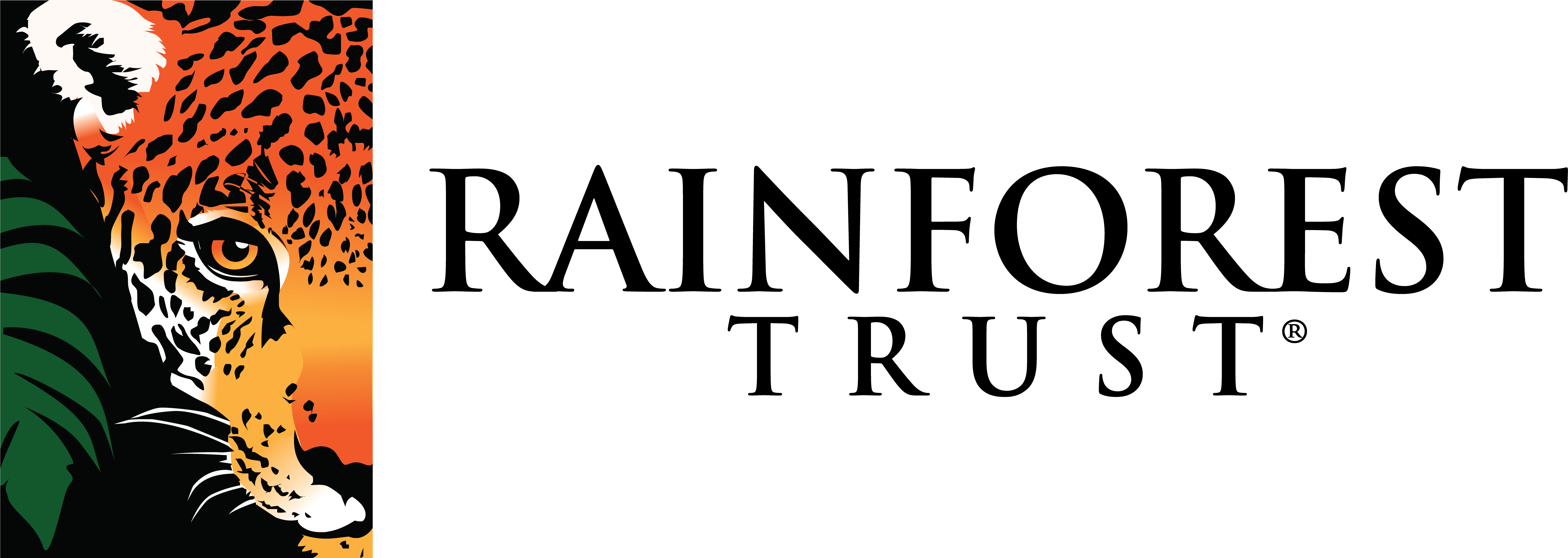 Logos - Rainforest Trust Logo - Free Transparent PNG Download - PNGkey