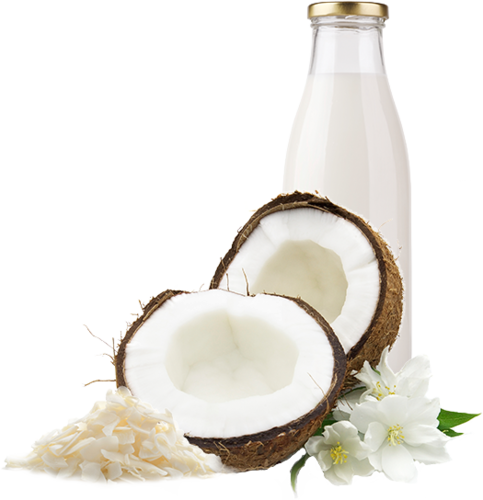 Download Coconut Milk Png - Asobu Juicy Drink Box Tritan Juice Box PNG ...