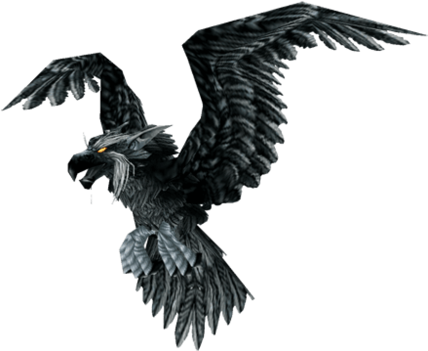 Raven - Raven Bird - Free Transparent PNG Download - PNGkey