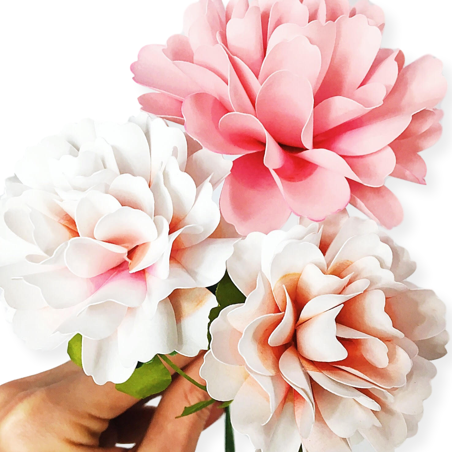 Download Paper Flower Png - Carnation Paper Flower Template PNG Image ...