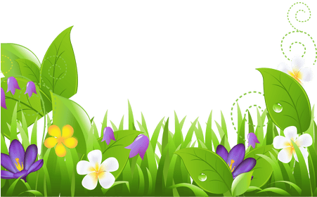 Download Green Floral Background Png - Never Design Your Character Like ...