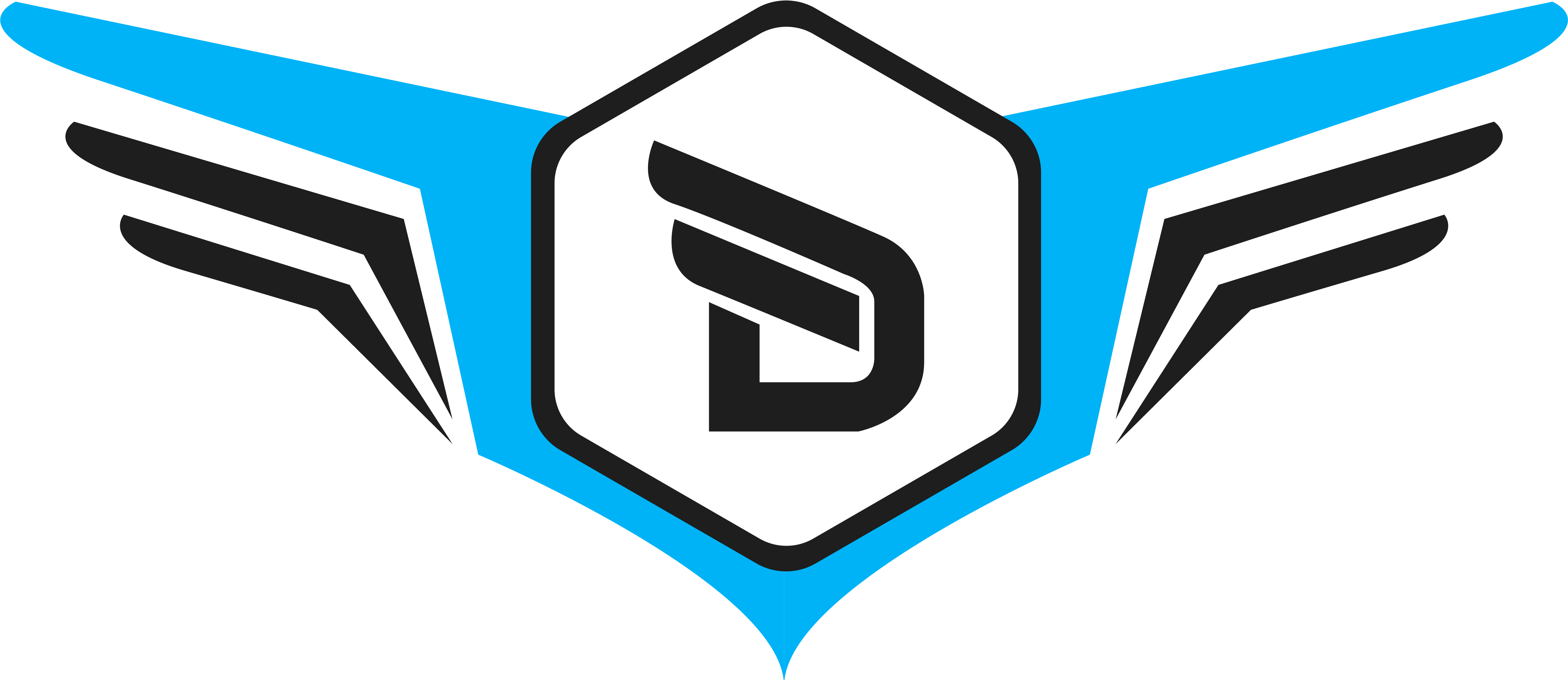 Download Dark Echo - Dangerous Logo PNG Image with No Background ...