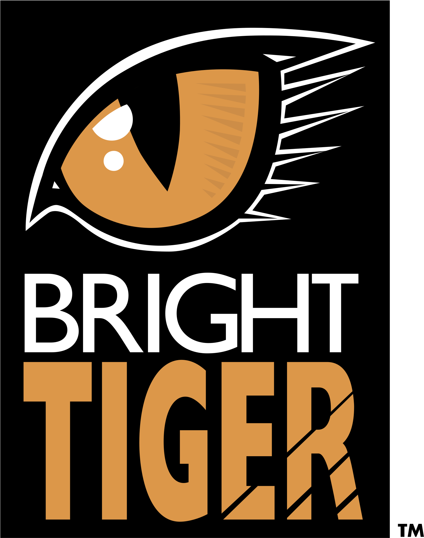 Bright Tiger Logo Png Transparent - Custom Bling N-dome Key Tag - Free ...