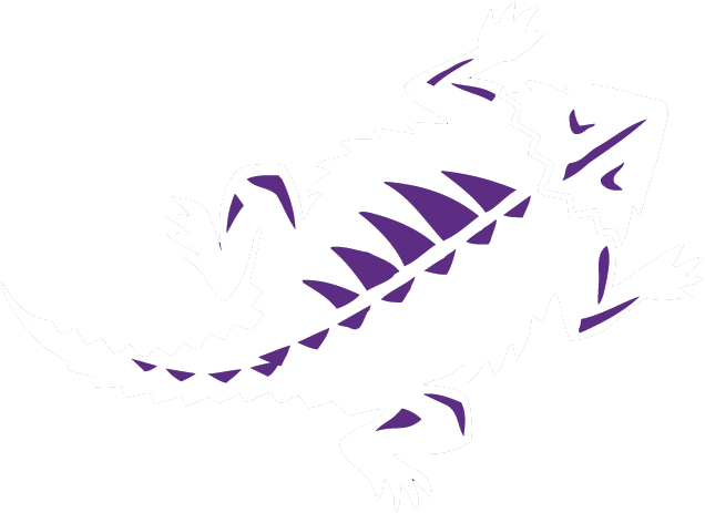 Download Tcu Logo 2 By 1 PNG Image with No Background - PNGkey.com