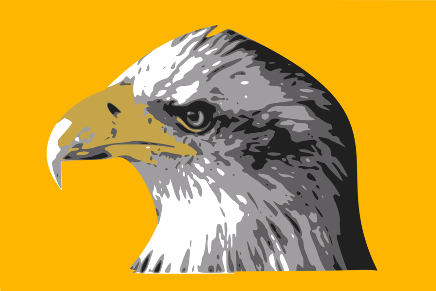 Download Bald Eagle Bird Hawk Drawing - Coque Apple Iphone 8 Tete D'aigle Royal PNG Image with ...