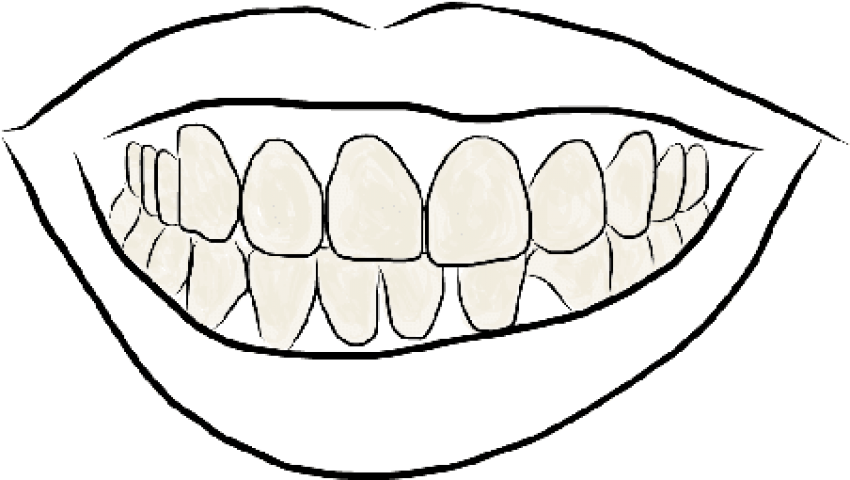 Download Drawing Teeth Smile - Outline Image Of Teeth PNG Image with No ...