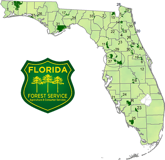 National Forest Map Florida - Free Transparent PNG Download - PNGkey