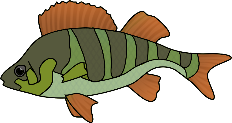 Download Collection Of School Of Tropical Fish Drawing High - Fish ...