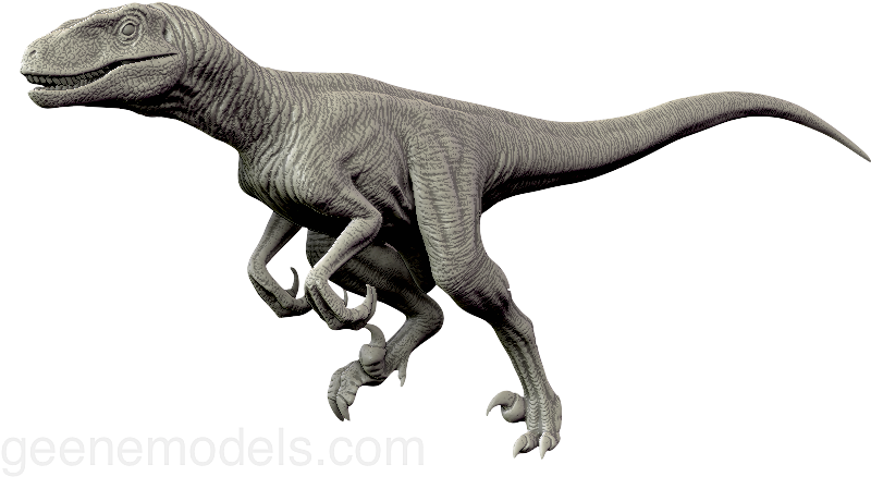 Download Velociraptor Png Transparent - Raptor Dinosaurs PNG Image with ...