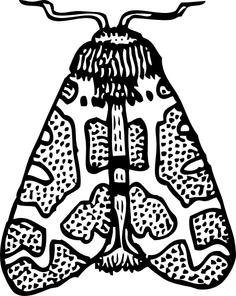 Download Moth Wings Closed Clip Art Free Vector - Moth Clipart Black ...