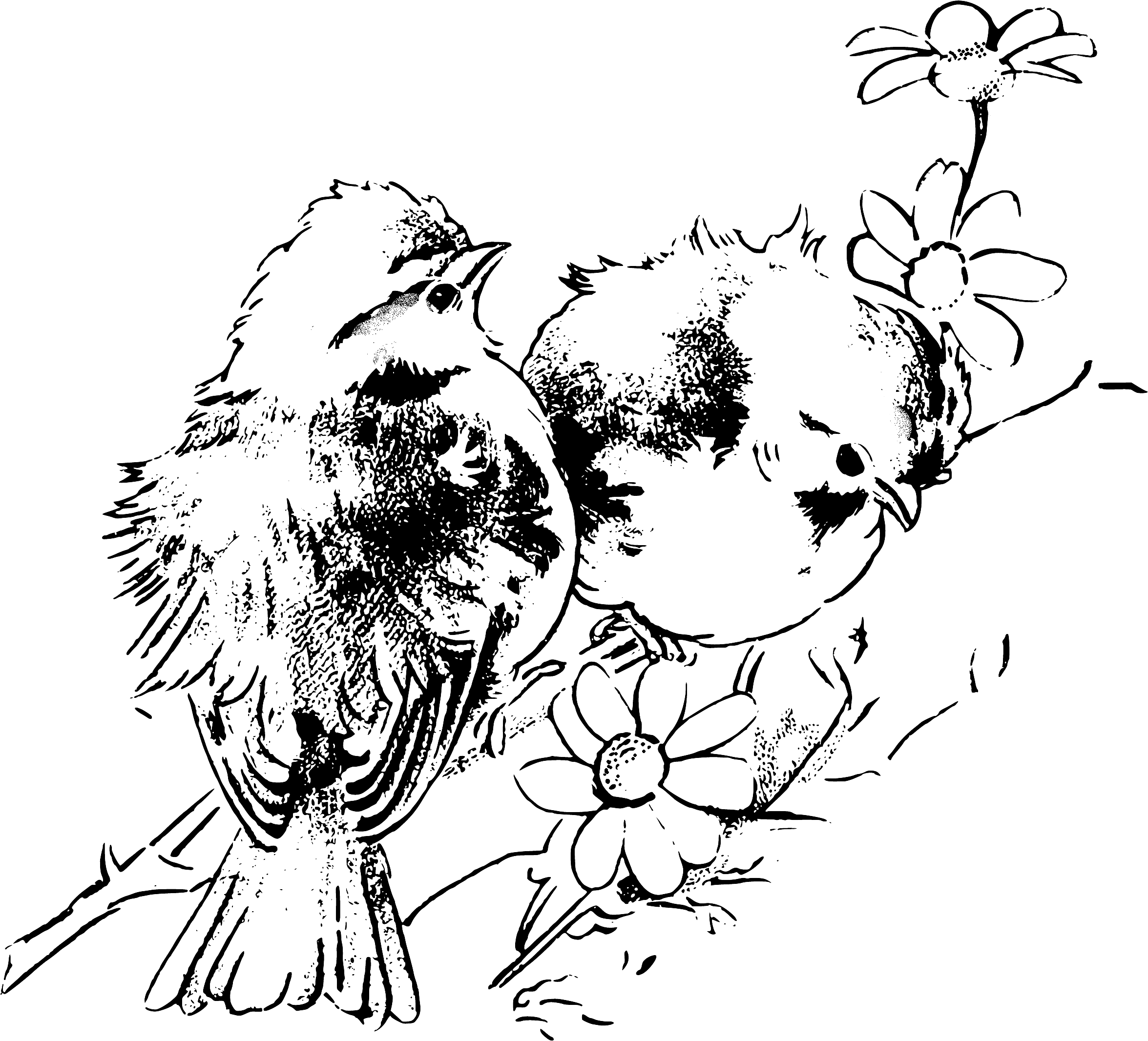 Willow Drawing Artistic - Illustration - Free Transparent PNG Download ...