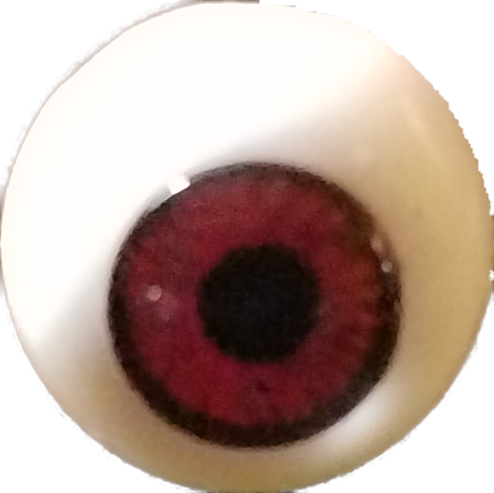 Download Isbee - - Close-up PNG Image with No Background - PNGkey.com