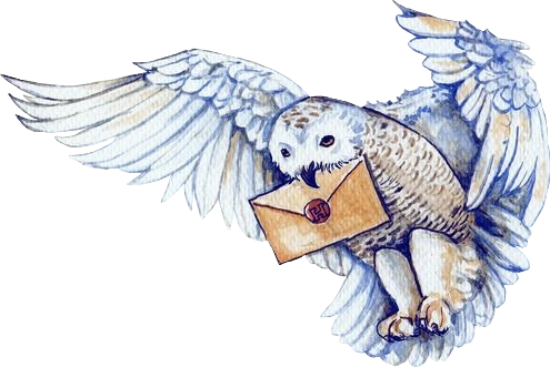 Download Hedwig Drawing - Cartoon Hedwig PNG Image with No Background ...