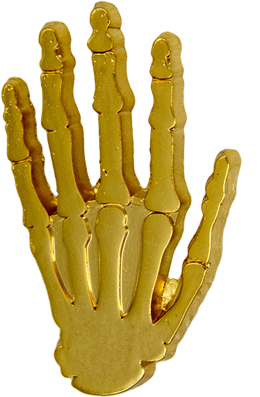 Skeleton Hand Pin, Gold - Bone - Free Transparent PNG Download - PNGkey