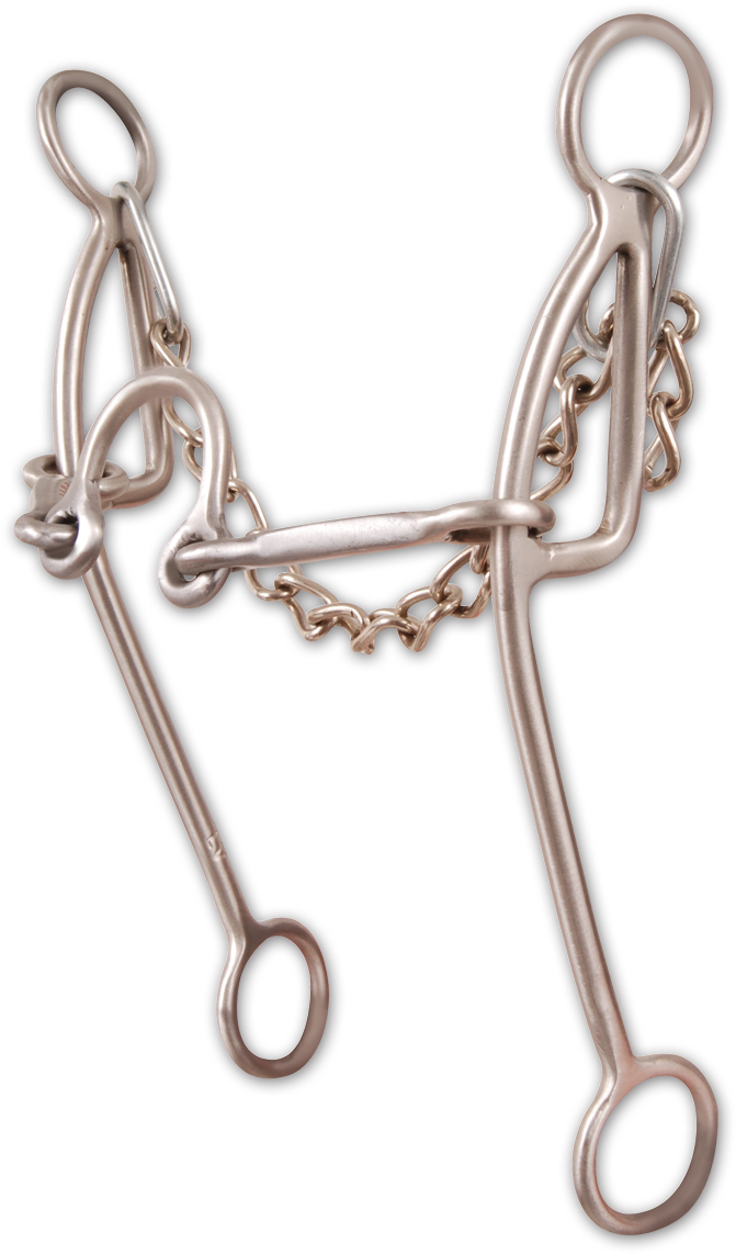 Download 8 1/2" Classic Equine Horse Shank Ported Mouth Bit PNG Image ...