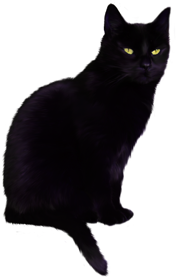 Download Bombay Cat Png PNG Image with No Background - PNGkey.com