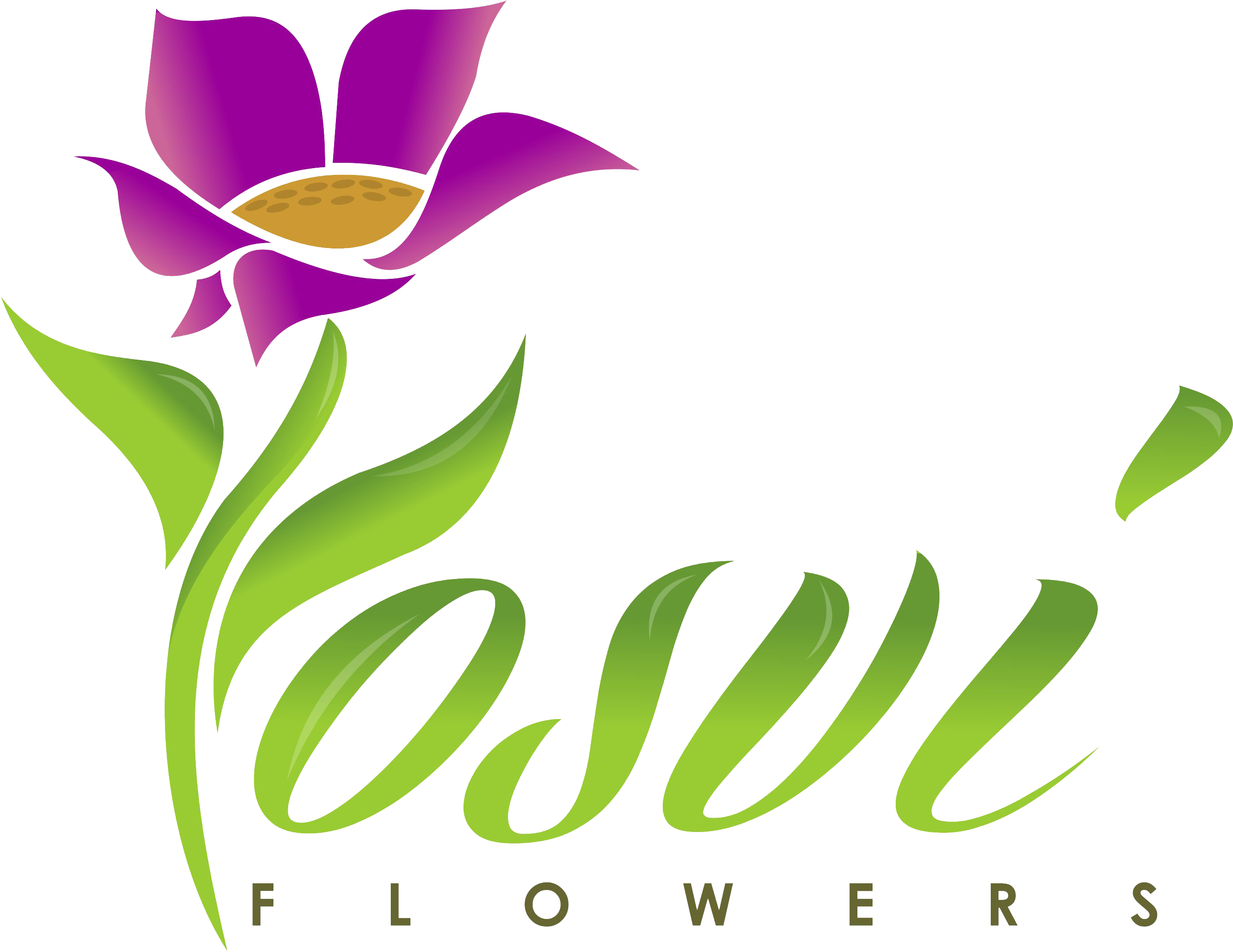 Download D Flower Logo PNG Image with No Background - PNGkey.com