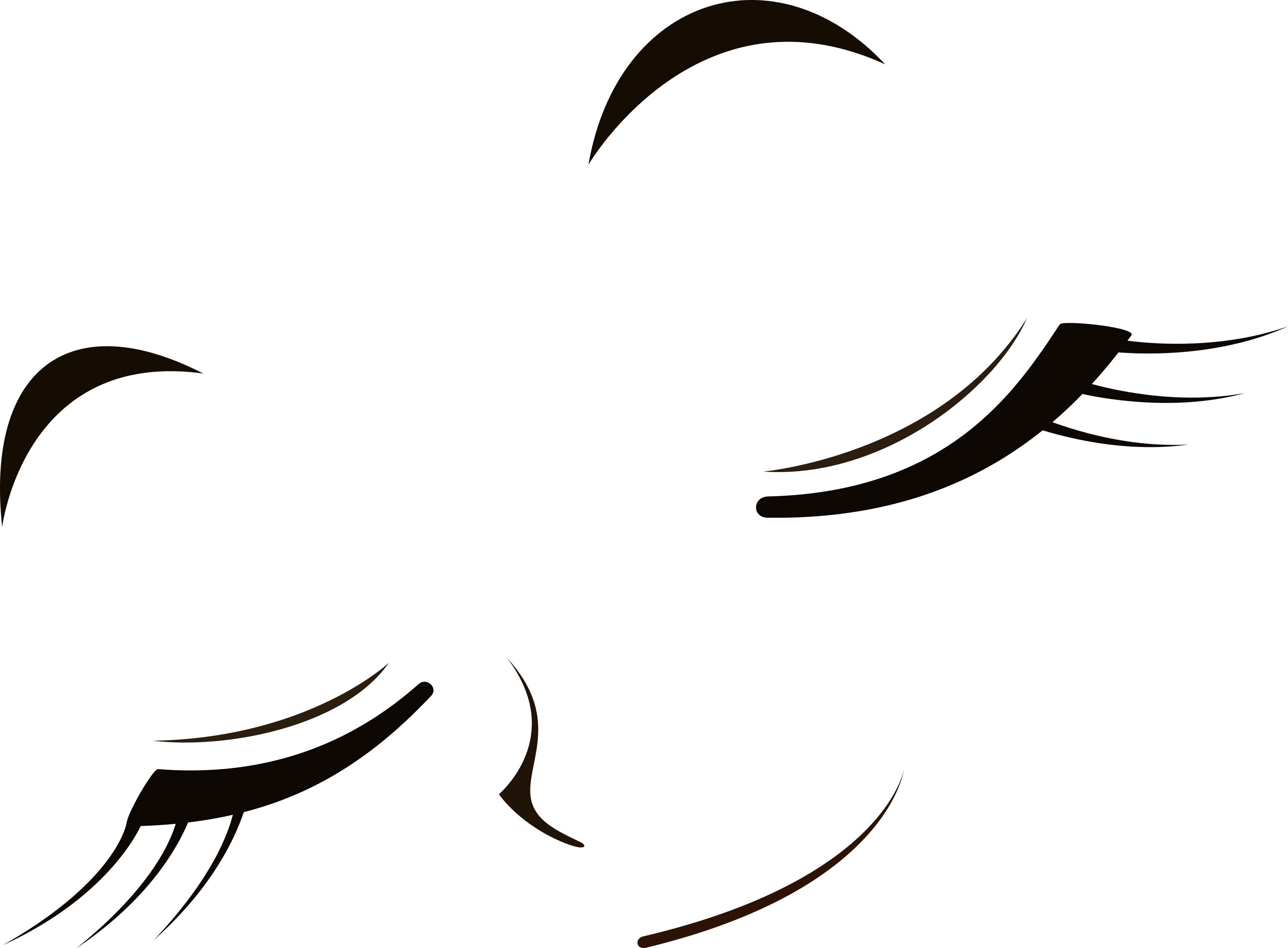 Collection Of Free Smile Vector Closed Eye Download - Closed Eyes Png ...