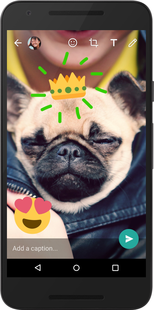 Download Whatsapp Camera PNG Image with No Background - PNGkey.com