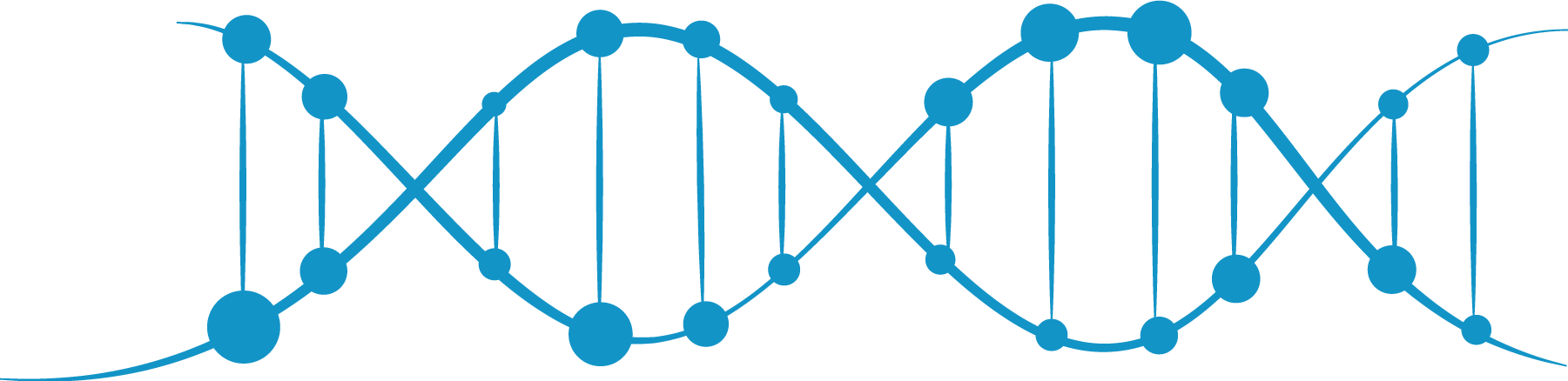 Download And Represents Several Decades Of Cumulative Experience PNG ...
