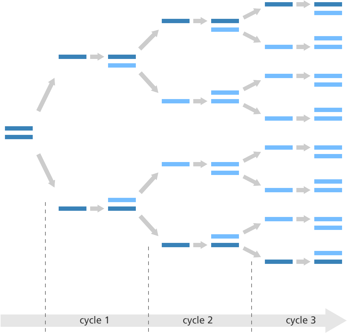 Illustration Showing How The Polymerase Chain Reaction - Pcr Cycles ...