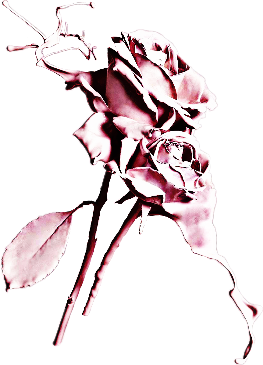 Download Dripping Drawing Rose - Fond D Écran Tumblr Rose PNG Image ...
