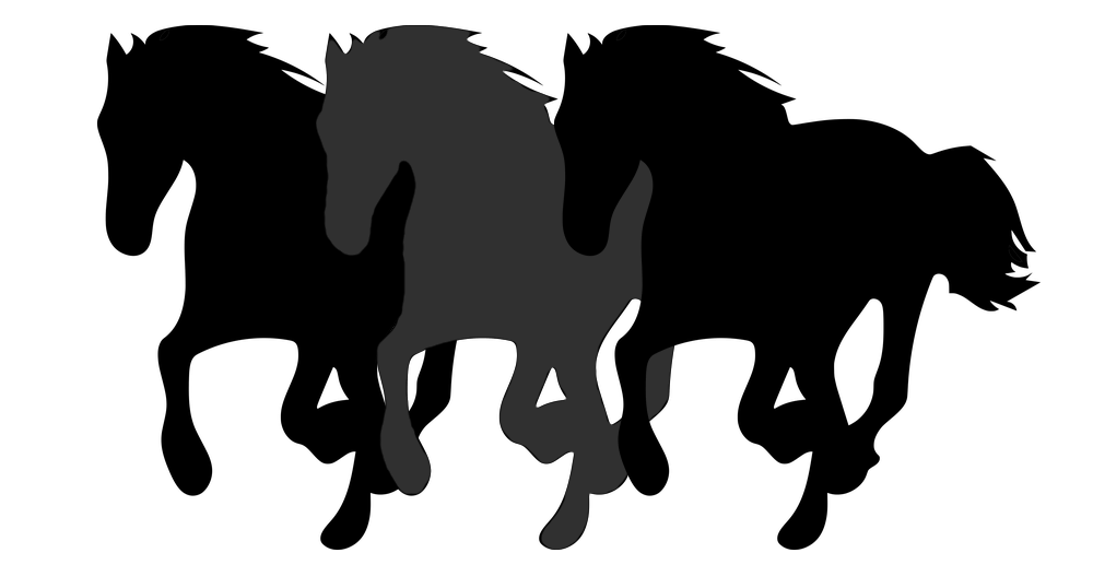 Download Three Horses Running - Black Horse Transparent PNG Image with ...