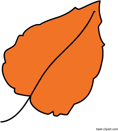 Download Orange Fall Leaf, Free Clip Art - Clip Art PNG Image with No Background - PNGkey.com