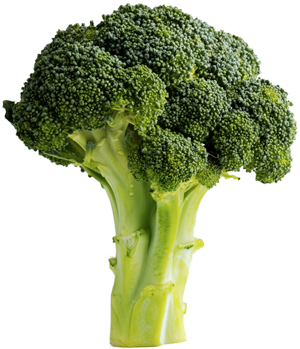 Broccoli - Carbs For Muscle - Free Transparent PNG Download - PNGkey
