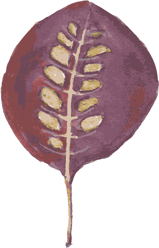 Download Creative Leaf Cartoon Transparent Material - Leaf PNG Image ...