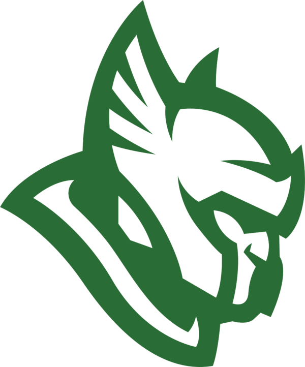 Download Heroic Csgo - Heroic Cs Go Logo Png PNG Image with No ...