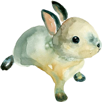 Watercolor Bunny - Easy Simple Watercolor Animals - Free Transparent ...