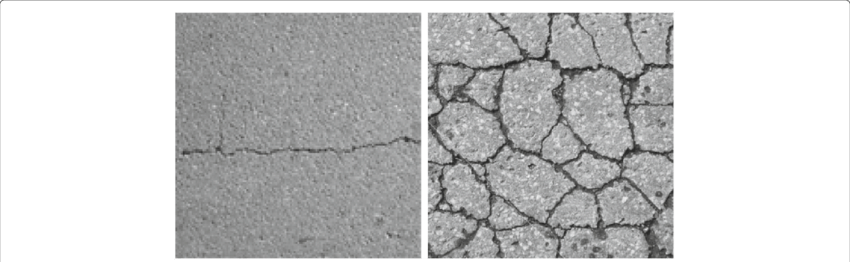 Linear And Alligator (right) Crack Examples - Cobblestone - Free ...