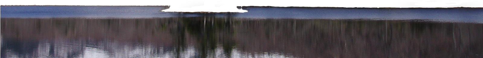 Download Introduction Video - Reflection PNG Image with No Background ...