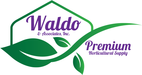 Download Waldo Logo - Portable Network Graphics PNG Image with No ...